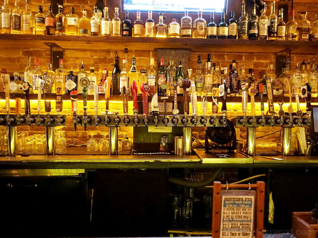 The Hopping Pig คราฟท์เบียร์บาร์ 32 แทปใจกลางเมือง San Diego – teerapat.com